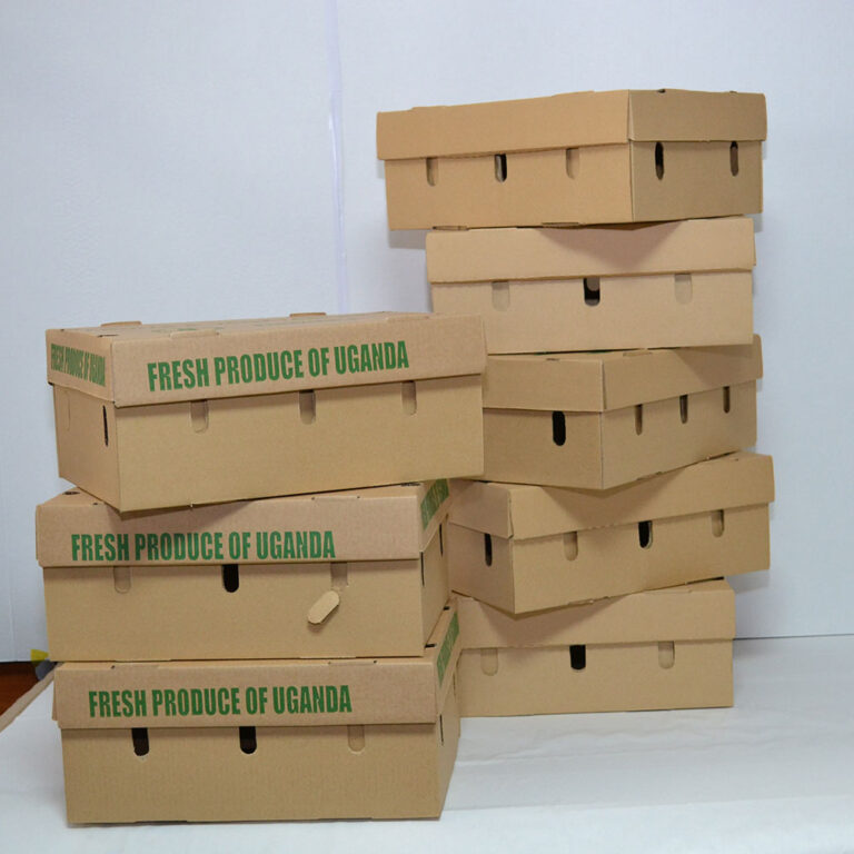 The Best Fruit & Vegetable Boxes in the Market | Prime Concepts