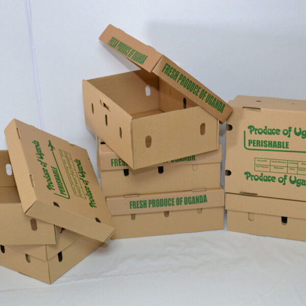 The Best Fruit & Vegetable Boxes in the Market | Prime Concepts